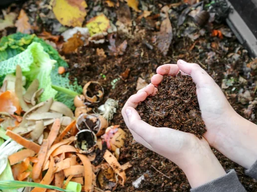 Leren hoe je compost maakt! Hoe houden we de bodem gezond? - BuurtNatuur030